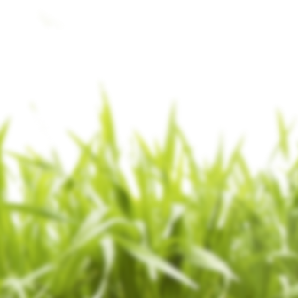 grass-bg – Kelso's Choice